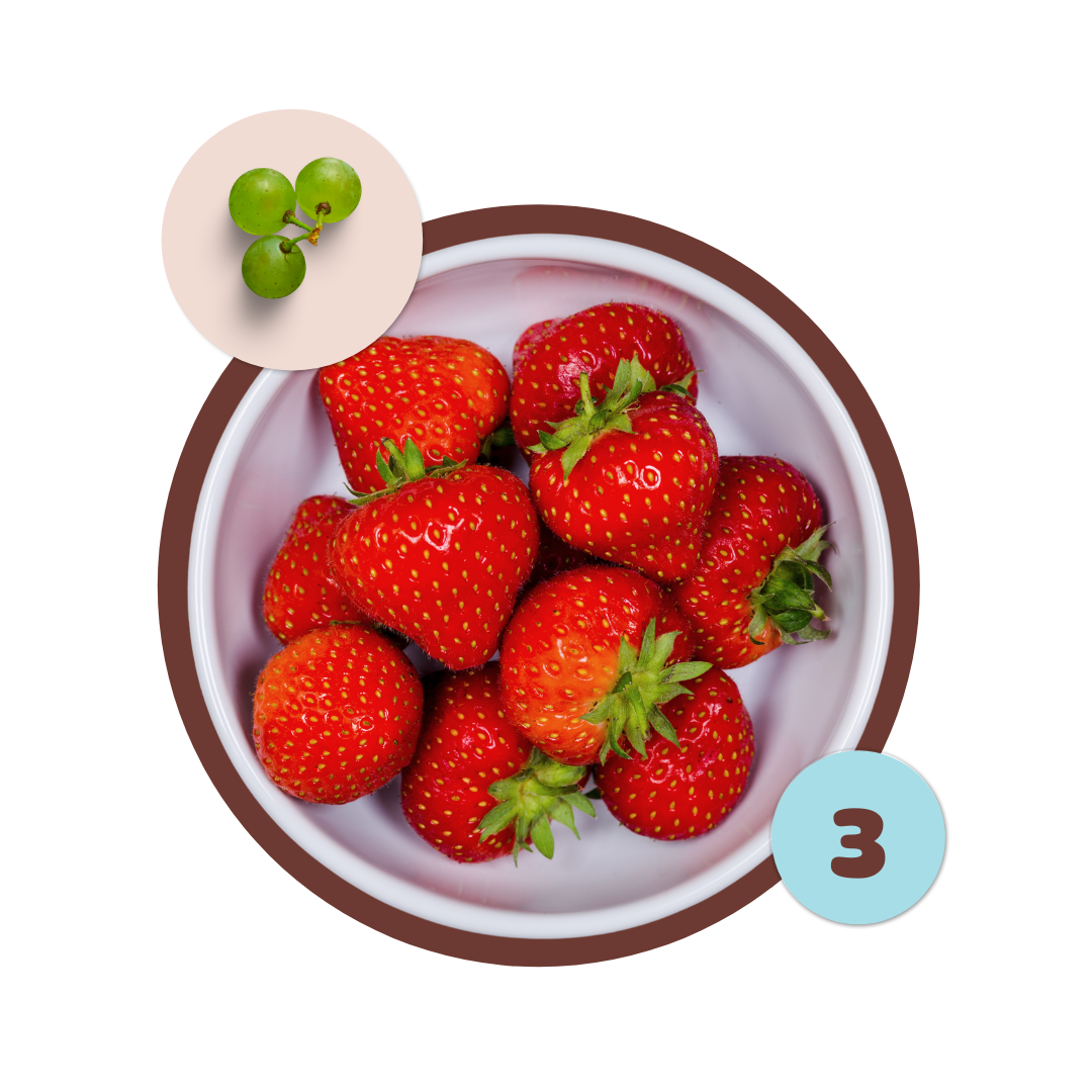 Mello's - Brochettes Chocolatées - Foodtruck de desserts